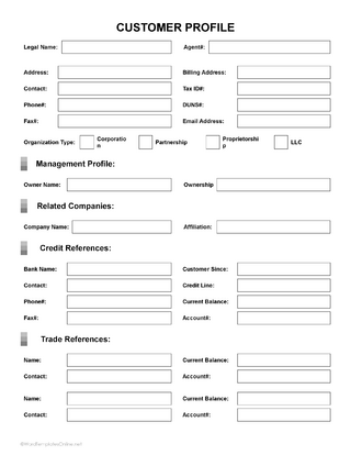 8 Free Customer Profile Templates (Word, Google Docs)