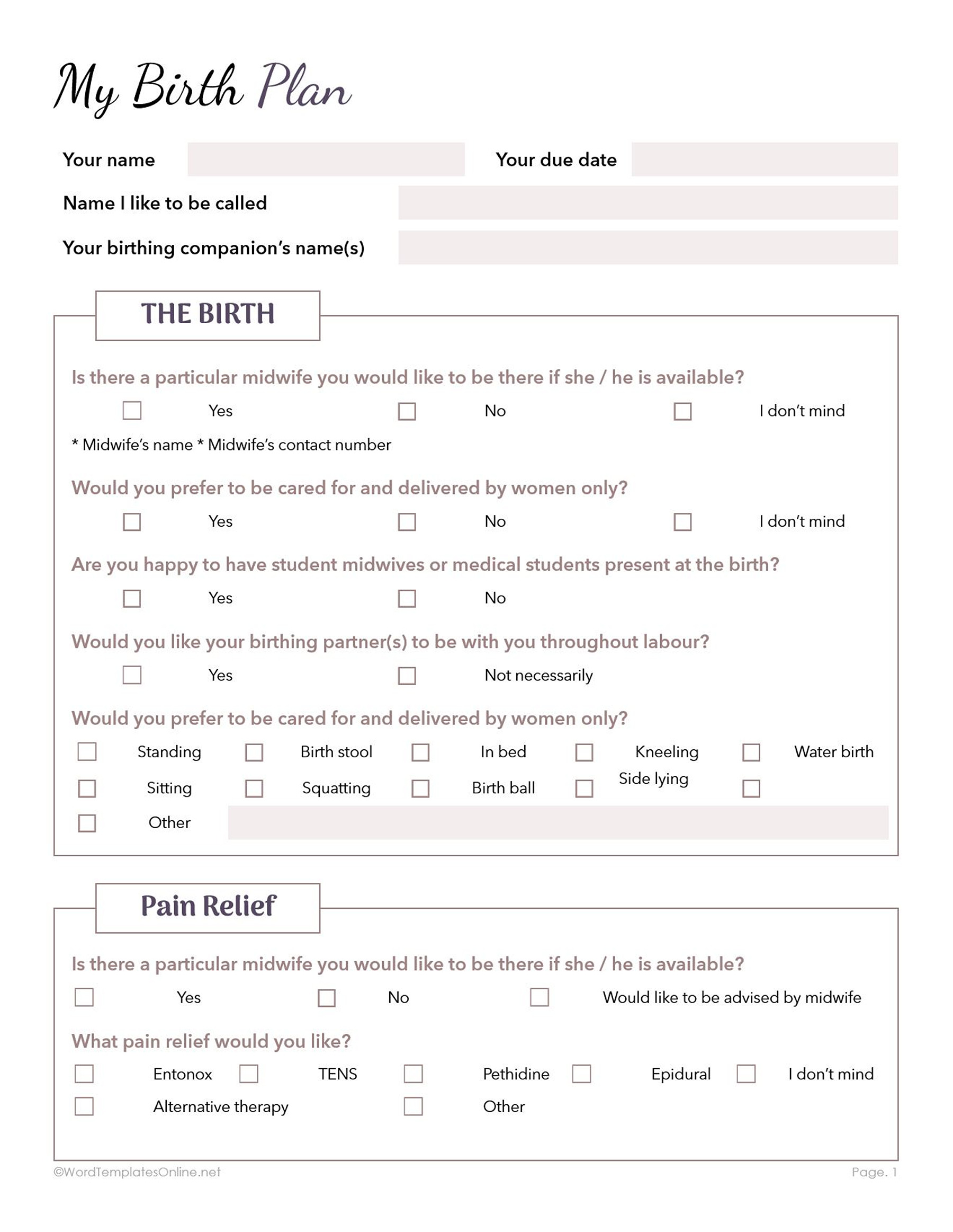 Birth Plan Worksheet Word