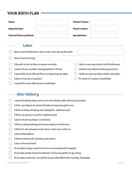 14 Free Birth Plan Templates (Word, Google Docs, PDF)