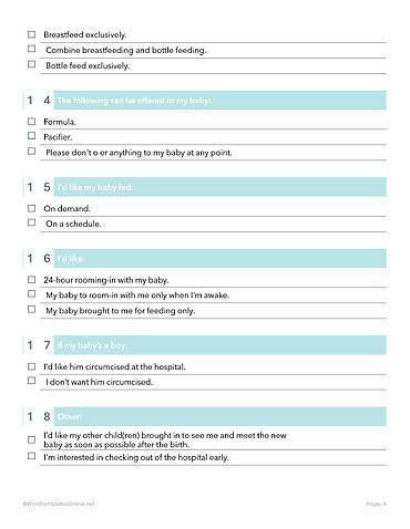 14 Free Birth Plan Templates (Word, Google Docs, PDF)