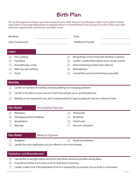 14 Free Birth Plan Templates (Word, Google Docs, PDF)