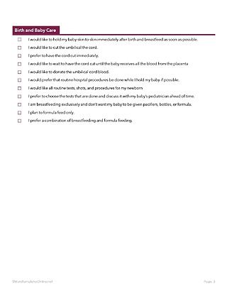 14 Free Birth Plan Templates (Word, Google Docs, PDF)