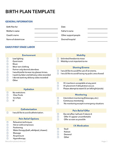 14 Free Birth Plan Templates (Word, Google Docs, PDF)