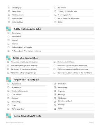 14 Free Birth Plan Templates (Word, Google Docs, PDF)