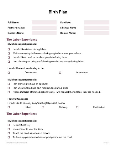 14 Free Birth Plan Templates (Word, Google Docs, PDF)