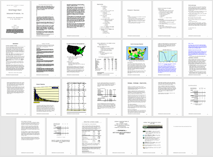 Free Data Analysis Report Templates (Word) - Editable