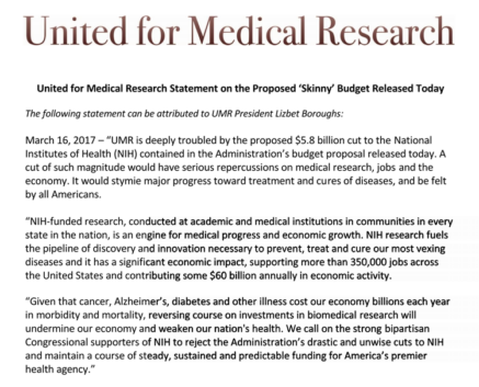 11 Perfect Academic Research Statement Examples (with Guide)