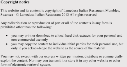 How to Write a Copyright Notice (Copyright Examples)