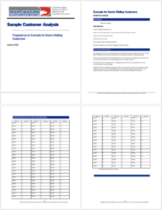 Free Customer Analysis Templates (Guide with Examples)