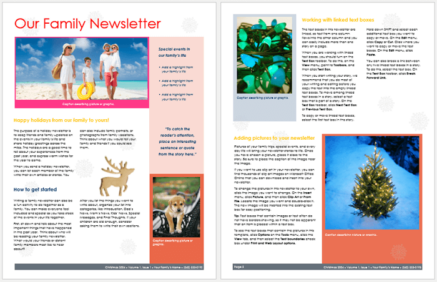7 Amazing Family Newsletter Templates (Word - PDF)