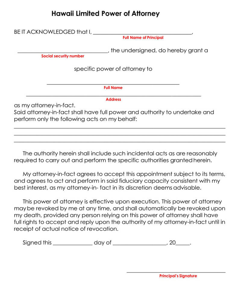 Free Limited Power of Attorney Forms (by State) - Word|PDF