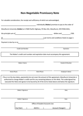 38 Free Promissory Note Templates & Forms