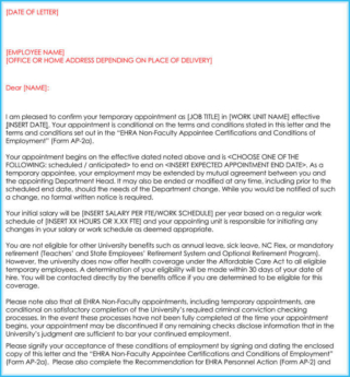 Temporary Appointment Letter Samples (Writing Tips)