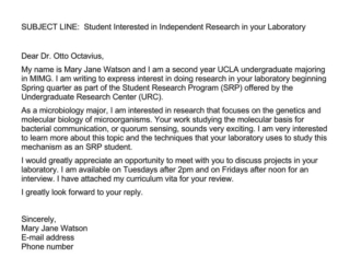 32 Email Cover Letter Samples | How to Write (Examples)